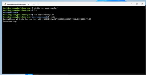Working With Visual Studio Code On Ubuntu On Wsl Wsl Ubuntu