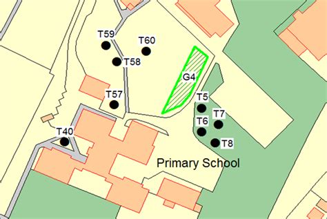 Tree Surveys Pear Technology