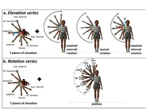 Description Of Arm Movement Series Relatively To The Thorax With The Arm Download Scientific
