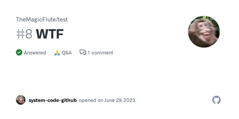 Wtf Themagicflute Test Discussion Github