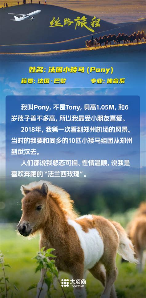 丝路旅程丨假如商品会说话，“我是谁、从哪里来、要到哪里去”的哲学三连问怎么答？ 大河网
