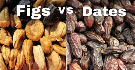Figs Vs Dates Which One Should You Eat And Grow