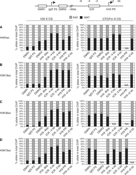 Histone H3 Acetylation Along The H19igf2 Imprinted Domain Download Scientific Diagram