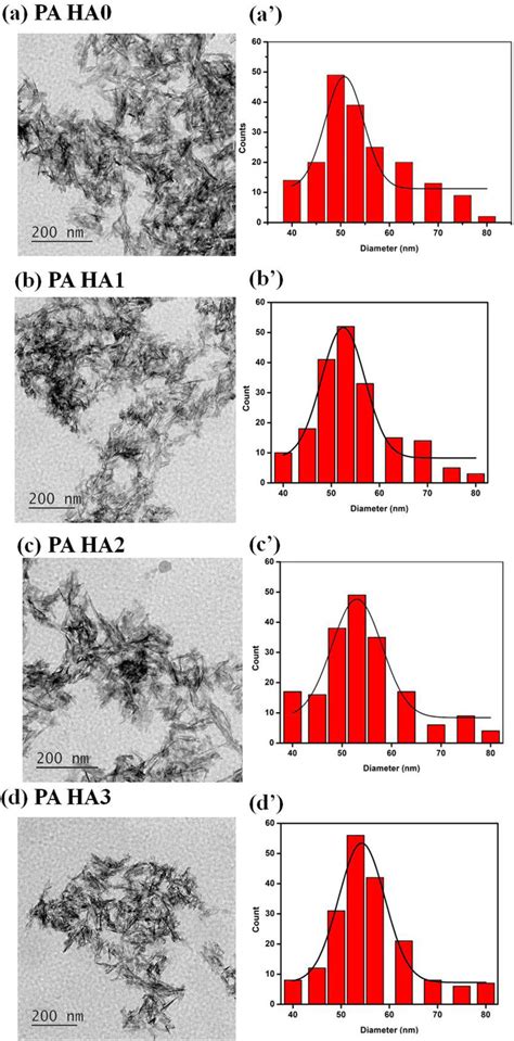 Tem Images And Corresponding Histogram For Particle Size Distribution Download Scientific