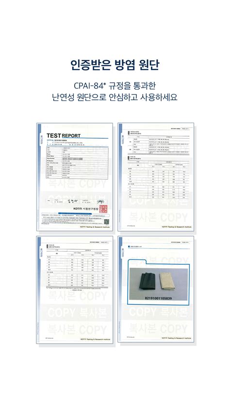 폴라리스 델피누스 라이트 오토차박텐트 3~4인용 폴라리스