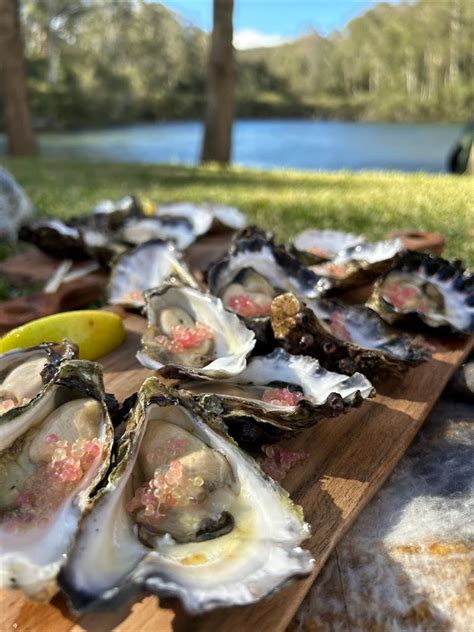 The Oyster Farmers Daughter Narooma Modern Australian Restaurant