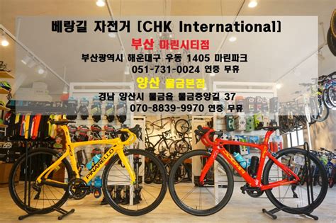 2020 첼로 리로드 A3 그래블 바이크 출고 입문용 가성비 추천 순위 로드자전거 사이클로크로스 소라 투어링 국토종주 자전거길 여행 Mtb 첼로 전문 할인 매장 베랑길