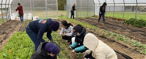 Community Based And Engaged Learning Courses Fall 2025 Community Engaged Learning