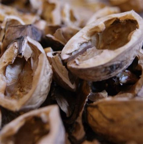 Откакто разбрах за тези рецепти черупка от орех не изхвърлям вкъщи За Жената