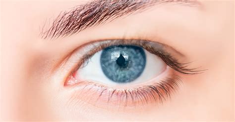 Eye Anatomy Eye Ultimate Guide To Human Eye Anatomy Parts Names