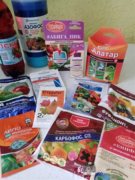 Защита растений от вредителей и болезней