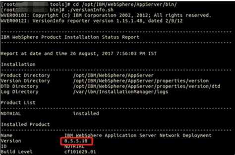 ibm websphere application server remote code execution vulnerability