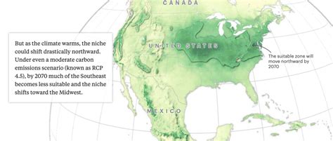 Should We Rebuild In Hurricane Prone Areas Poynter