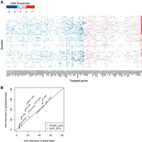 Gene Copy Number Estimation From Targeted Next Generation Sequencing Of