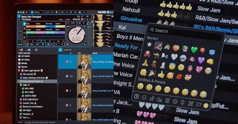 Serato Dj Pro Lite Discpick