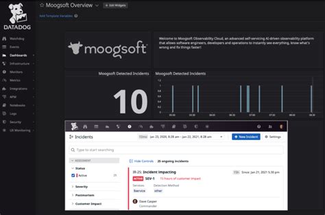 Moogsoft
