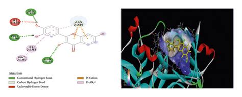 In Silico Molecular Docking Analysis Of 2d And 3d Interactions Among