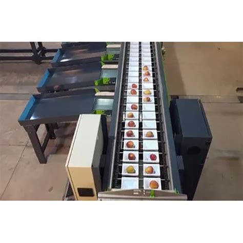 Fruit And Vegetable Color Sorting Machine At 13000000 00 Inr In Ambala