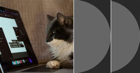 list linkedin data analyst curated by ameen siddiqui medium