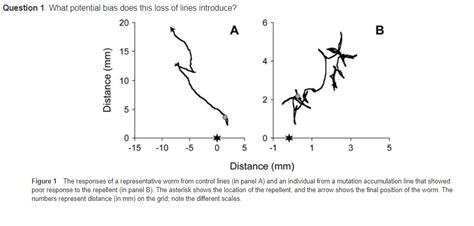 Solved Description Mutations Are A Relatively Rare