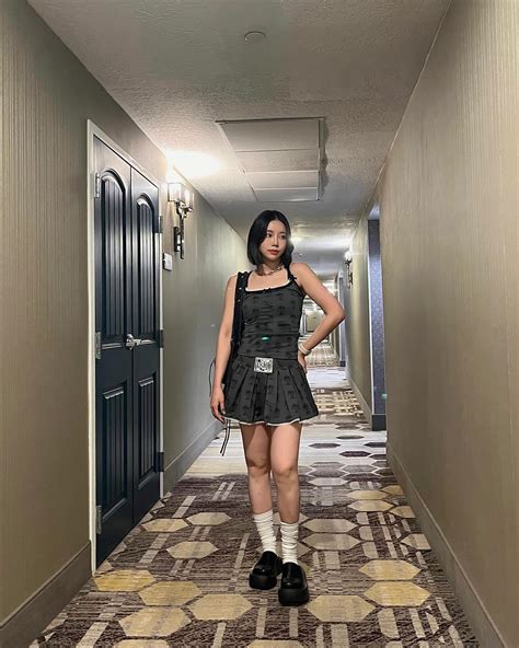 Gowawa 고와와 Wawaischihuahua • Instagram Photos And Videos