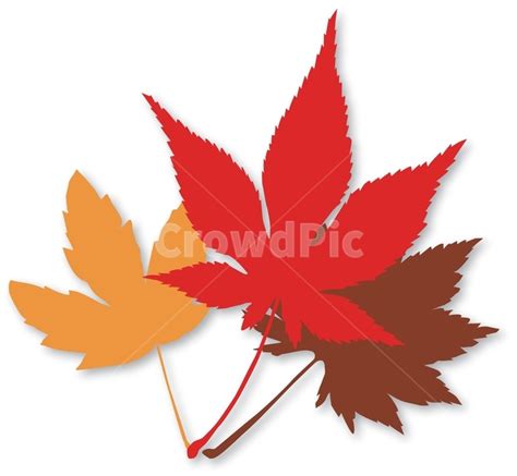 벡터 Eps Vector 가을 낙엽 사진 이미지 일러스트 캘리그라피 Space작가