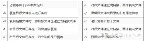 Linux命令：cp命令 复制文件或目录 知乎