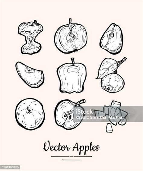 사과 벡터가 분리되었습니다 과일 컬렉션 손으로 그린 세트입니다 트렌디 한 음식 채식 메뉴 잉크 스타일로 설정 과일 아이콘 0명에 대한 스톡 벡터 아트 및 기타 이미지
