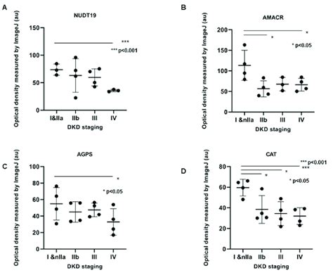 Quantitative Analysis Of The Ihc Staining Intensity Using Imagej