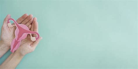 Things To Avoid With A Short Cervix During Pregnancy Peanut