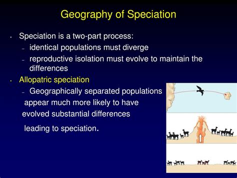 Ppt The Origin Of Species Powerpoint Presentation Free Download Id1704424