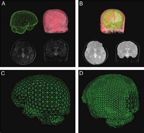 a and b model guided segmentation the model green is aligned with download scientific