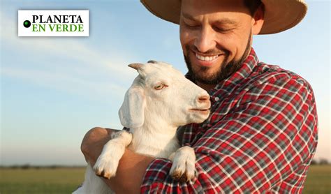 Día Mundial De La Zoonosis Tres Valiosos Consejos Para Cuidar La Salud