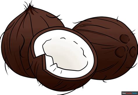 How To Draw A Coconut At Rosetta Cogan Blog