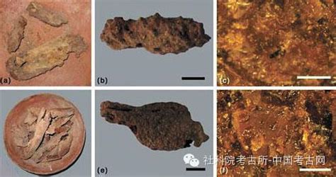 新疆发现中国最早麦类面包 国学网 国学经典 国学大师 国学常识 中国传统文化网 汉学研究