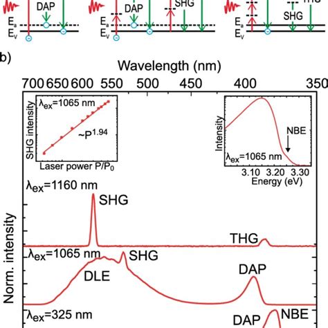 A Overview Of Excitation And Recombination Processes For Different Download Scientific
