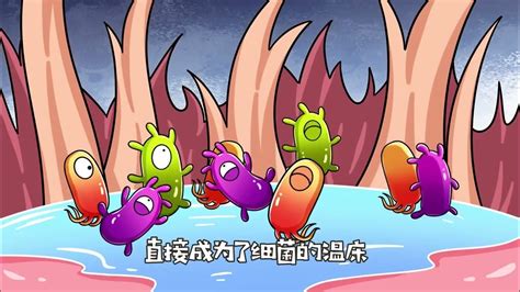 猫爪子居然是爆米花味的？ Youtube