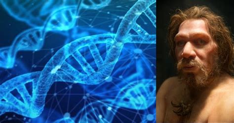 Rare Ancient Dna From The Denisovans Found In Isolated Villages Can