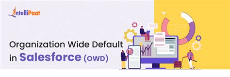 Organization Wide Default Owd In Salesforce Intellipaat Organization Wide Default Owd In Salesforce Intellipaat