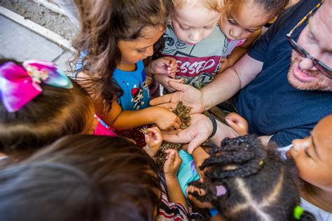 Insights From The Wild Teaching Life Lessons Through Bug Hunts In The Outdoor Classroom — Good