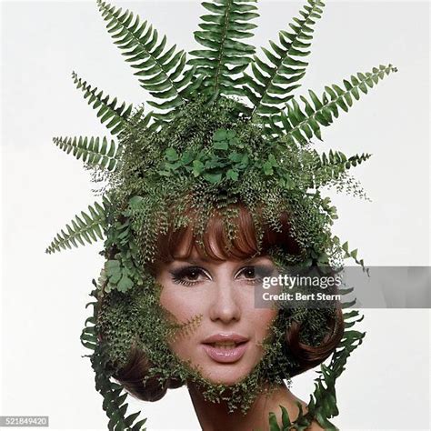 322 Elizabeth Bert Photos And High Res Pictures Getty Images