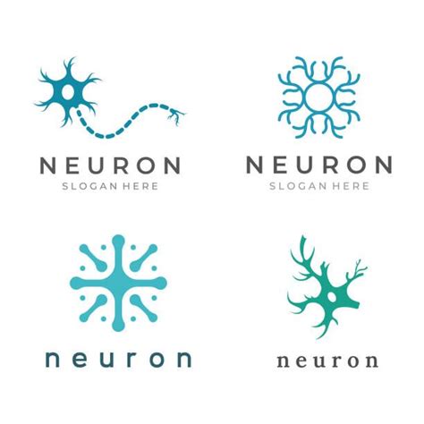 20 000 Neuron Stock Illustrations Royalty Free Vector Graphics And Clip Art Istock Neurons