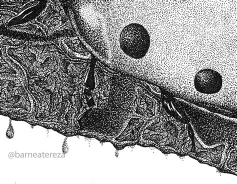 Pointillism Ladybug Drawing — Hive