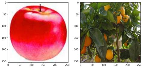 비전공생의 cyclegan cycle consistent gan 2017 코드 구현