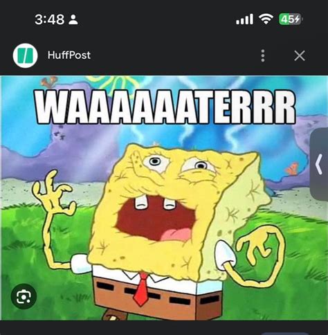 She Looks Like Spongebob When He Dried Out Rbegtok