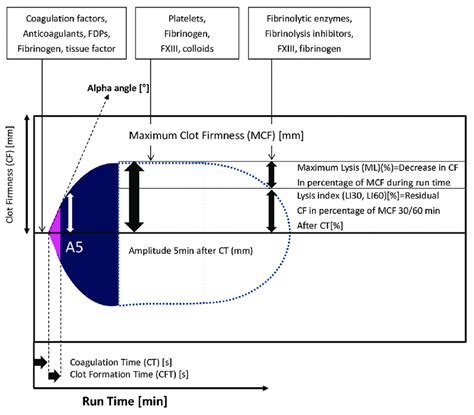 Rotational Thromboelastometry Trace Displaying The Clinically Most Download Scientific Diagram