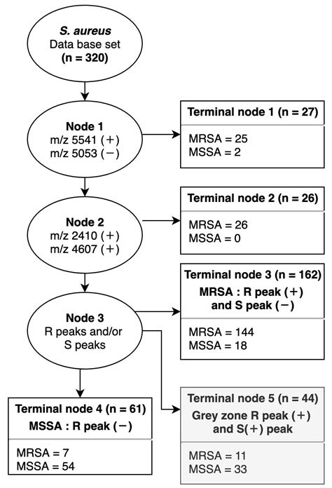Rapid Discrimination Of Methicillin Resistant Staphylococcus Aureus By Maldi Tof Ms