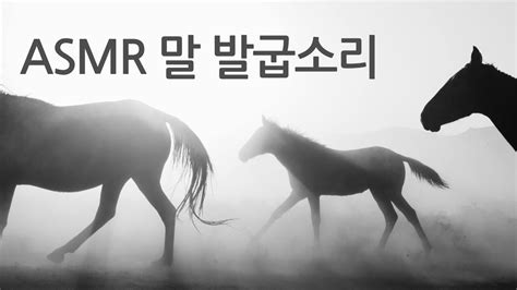 말 발굽소리 백색소음 공부집중 기분전환 Youtube