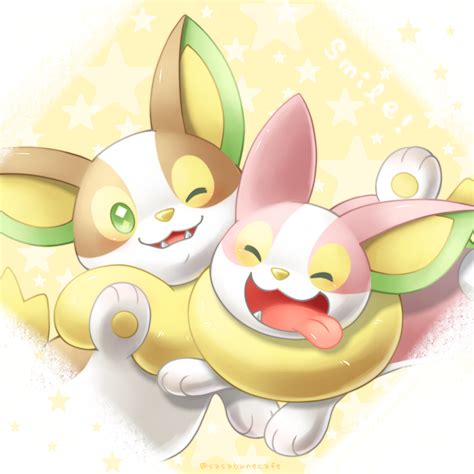 Yamper Pokemon Drawn By Sasabunecafe Danbooru