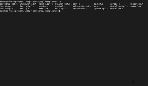 Ebpf基于 Uprobe 的自定义例程 知乎